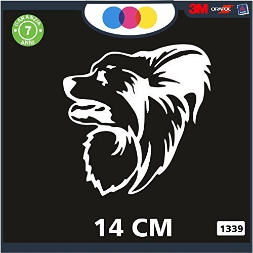 ADESIVO PER AUTO - CANE MALTESE - STICKERS - notebook - cane, cani ...